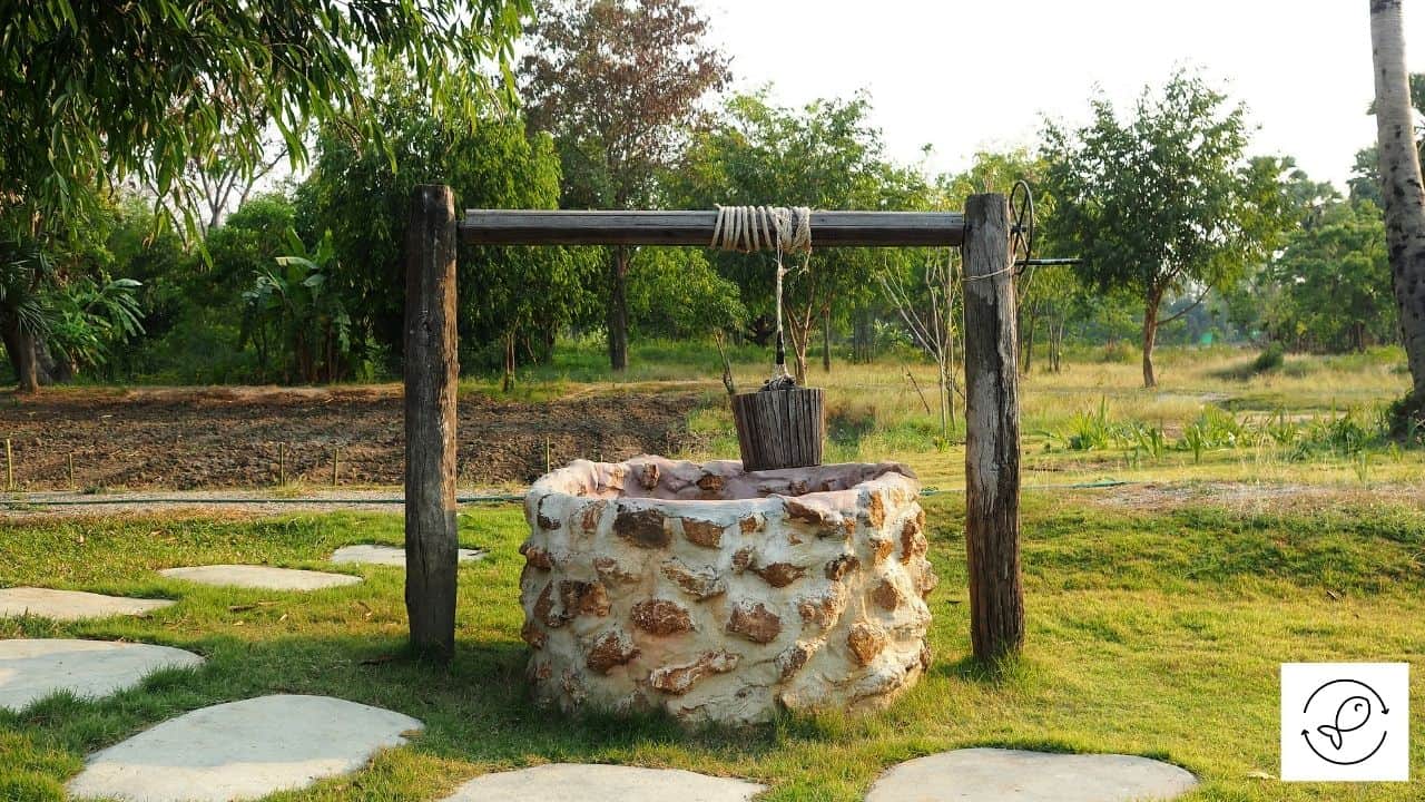 Can Well Water Be Used In A Fish Tank? (How To Use It?)