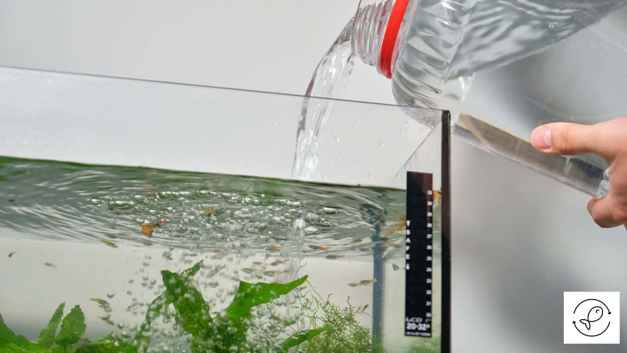 13 Must-Do Steps While Adding Water to A New Fish Tank