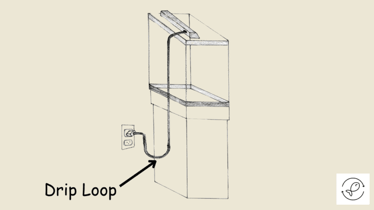 Aquarium Drip Loop - Why Do You Need It?